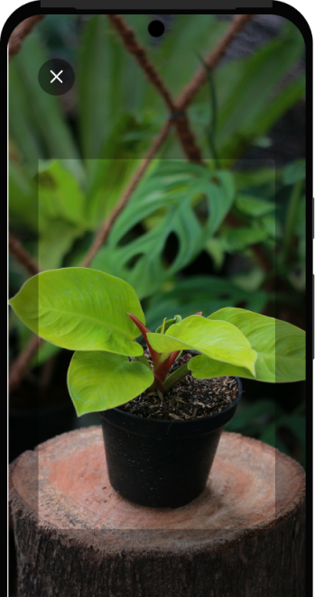 Plant.Care- Plant Health Management